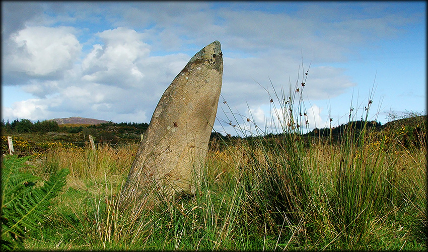 Ballard Longstone, Armagh