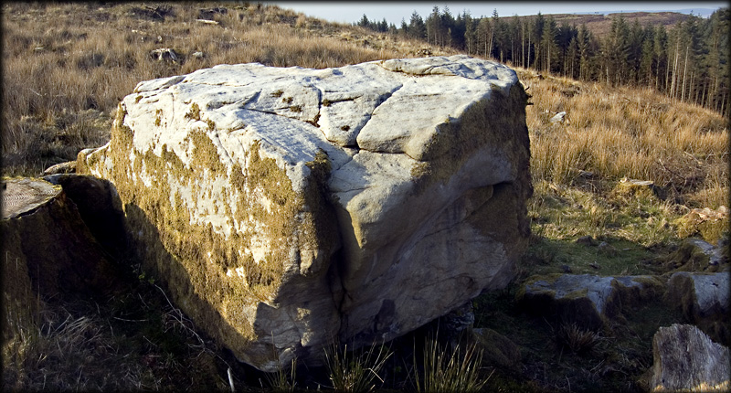 Burren Boulder Burial
