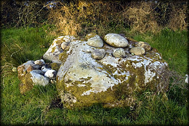 St Brigid's Stones, Killinagh, Cavan