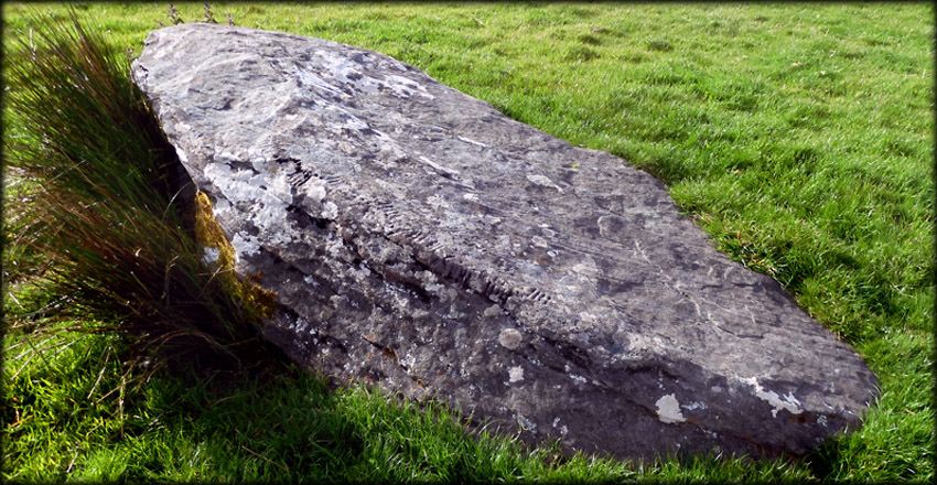 Camp Ogham Stone, Kerry