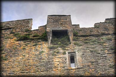 Clara Castle, Kilkenny