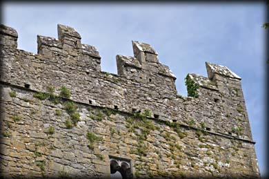 Clara Castle, Kilkenny