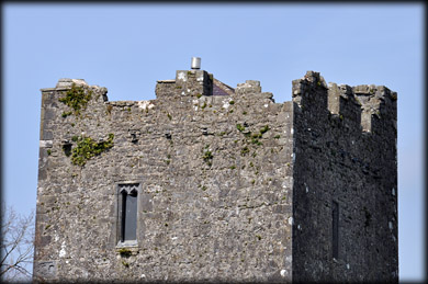 Clomantagh Castle, Kilkenny