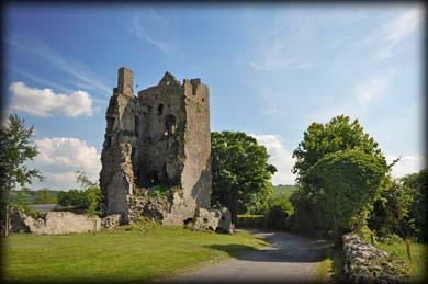 Cullahill Castle and Sheela na gig, Laois