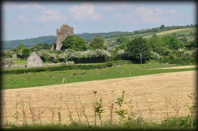 Cullahill Castle and Sheela na gig, Laois