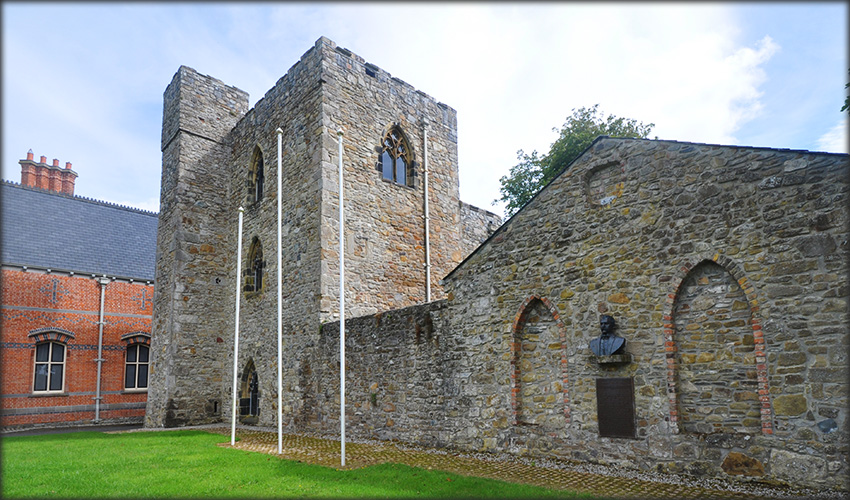 Dowth Tower House, Meath
