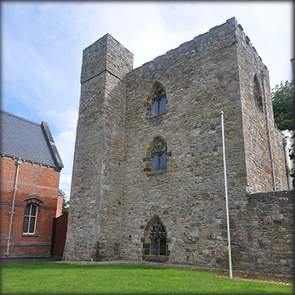 Dowth Tower House, Meath