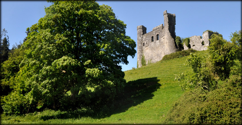 Dunmoe Castle, Meath