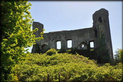 Dunmoe Castle, Meath