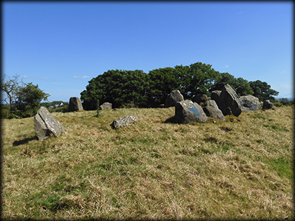 Carn Court Tomb, Monaghan