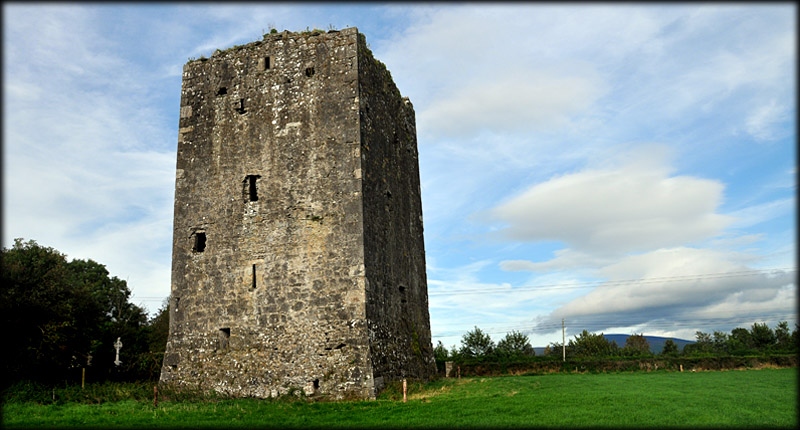 Lisronagh Tower House, Tipperary