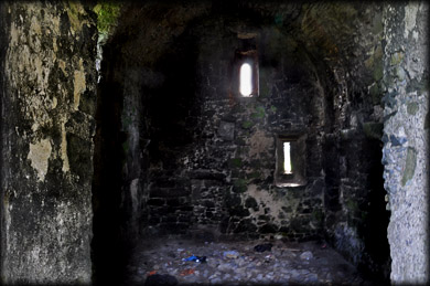 Lisronagh Tower House, Tipperary