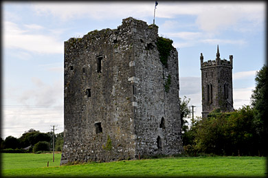 Lisronagh Tower House, Tipperary