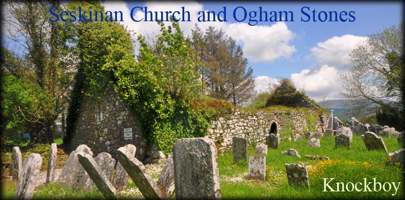 Seskinan Church and Ogham Stones, Knockboy, Waterford