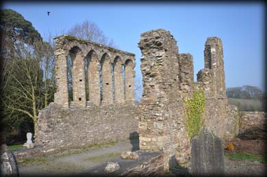 Ferns monastic site, Wexford