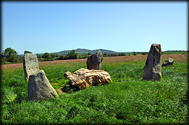 Robinstown Great, Stone Circle, Wexford