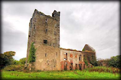 Sigginstown Castle, Wexford