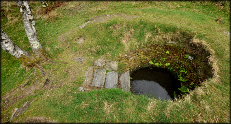 St Kevin's Well, Glendalough, Wicklow