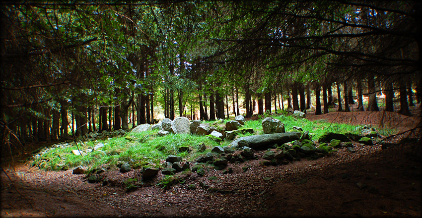 Kilmashogue Wedge Tomb, Dublin