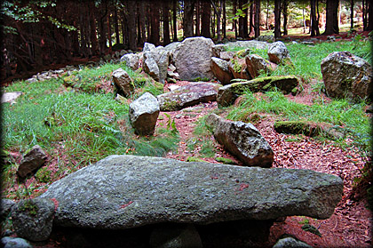 Kilmashogue Wedge Tomb, Dublin